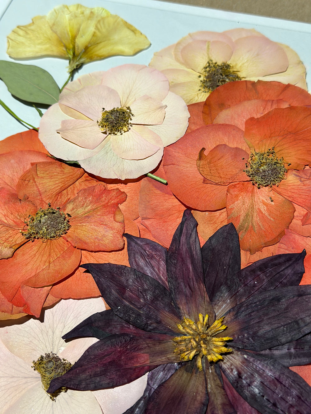 Flower Pressing Course | Flower Pressing Services | Floral Art ...